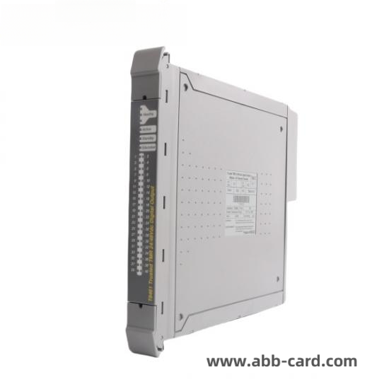 ICS TRIPLEX T8461C 输入模块 - www.abb-card.com