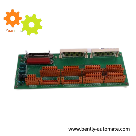 RAMIX PMC661J: Advanced Process Control Module for Industrial ...