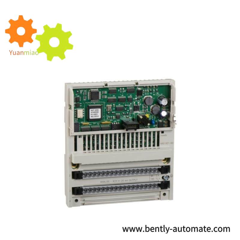 Schneider Electric 170AAO92100 Analog Output Module for Advanced ...