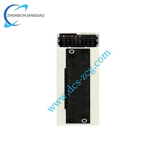 Schneider BMXDDO1612 Discrete Output Module - Dcs-zcg.com