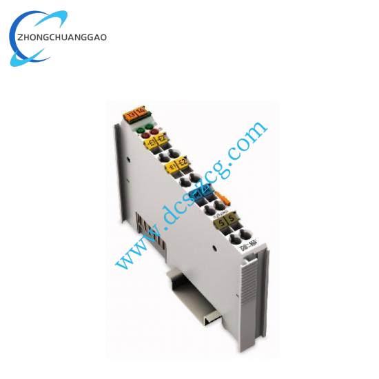 Wago 750-452/006-000: Dual-Channel Analog Input Module, Industrial ...