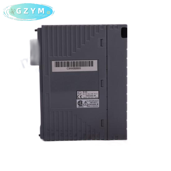 Yokogawa AAI141-S00: Advanced Current/Voltage Input Module - Guizhou ...