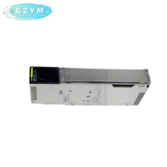 WOHNER 31110 Control Module - Guizhou Yuanmiao Automation Equipment Co., Ltd