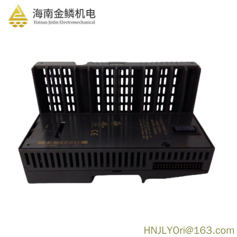 GE IC200ALG264 高精度模拟输入模块 - www.jlmep.com