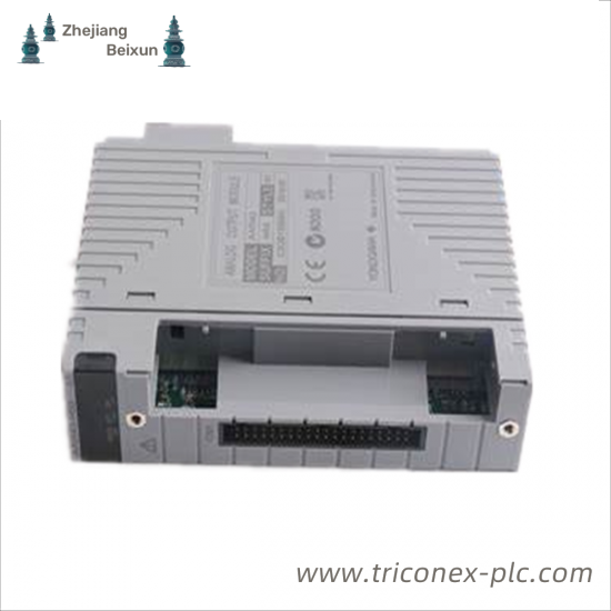 Yokogawa AAI543-H53 S1 Analog Input/Output Module - triconex-plc.com
