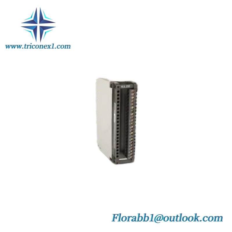 AUTONET HFAI-08 Industrial PLC Module - Triconex1 automation