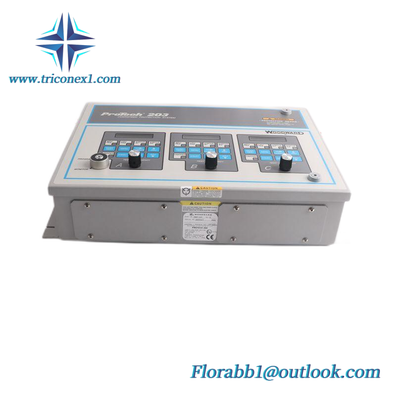 HITACHI LPP100A Digital Control System Module - Triconex1 automation